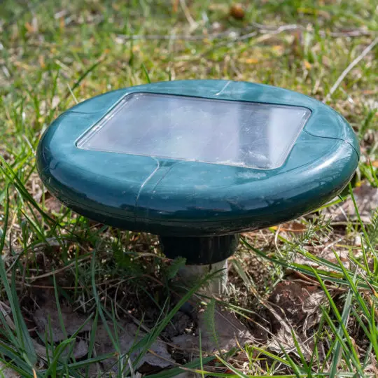 Ultrasonic Pest Repellers: What You Need to Know - Green Pest Solutions