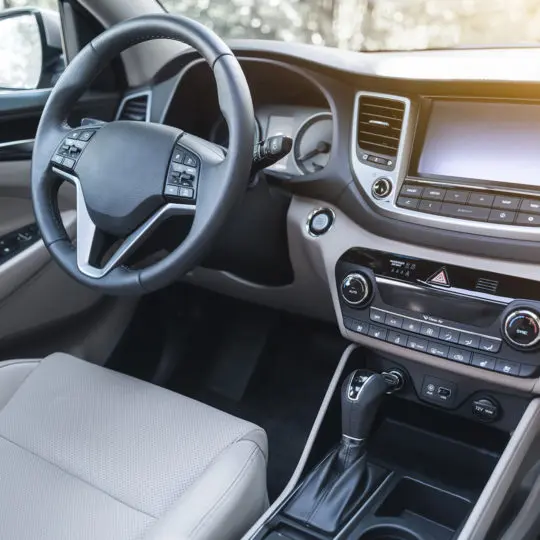 Bed Bugs In Your Car? What to Do Next - Green Pest Solutions