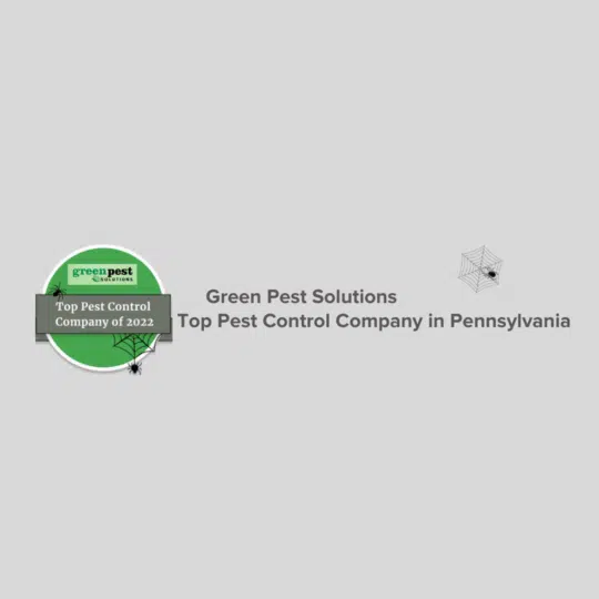 OvoControl Names Green Pest Solutions as a Top Pest Control Company in ...